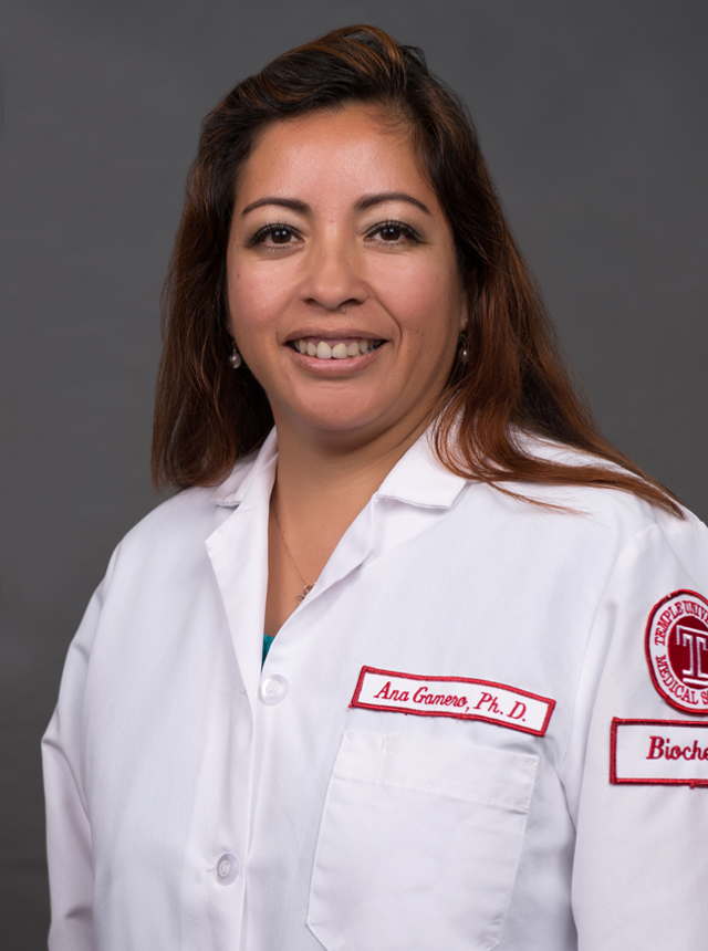 Ana Gamero | Fox Chase Cancer Center - Philadelphia PA